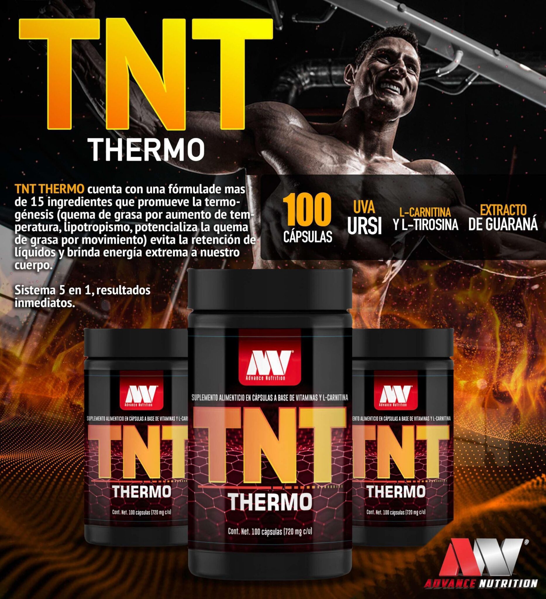 Advance Nutrition TNT 100 Capsulas – Gym Nutricion Zacatecas